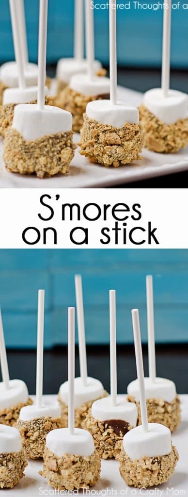S'mores on a Stick - Birthday Treat - Scattered Thoughts of a Crafty ...