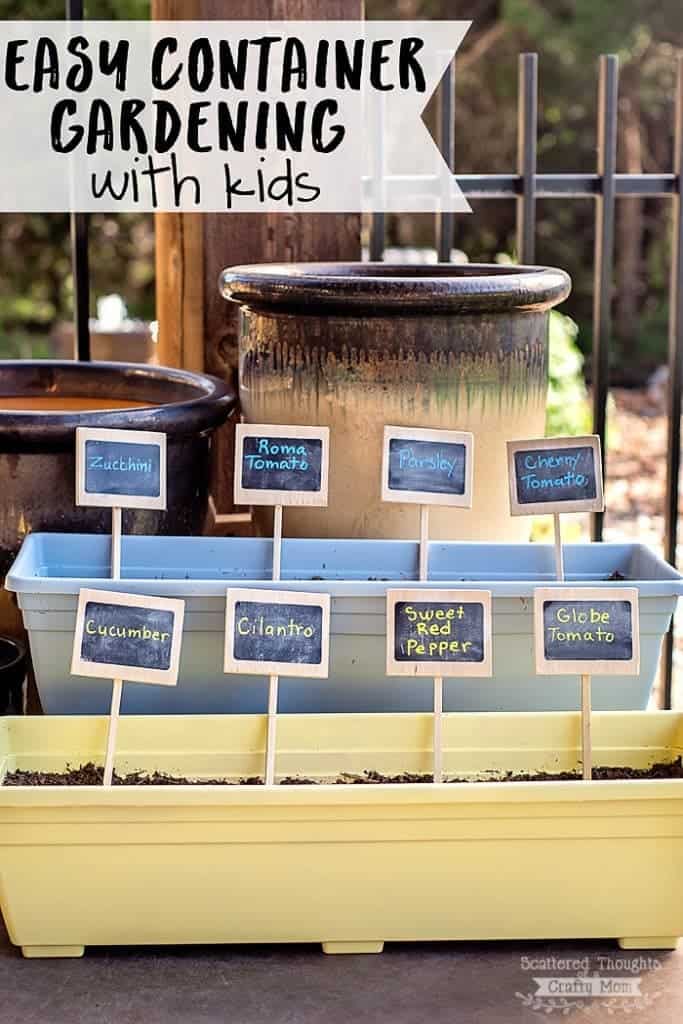 How to Grow a Container Garden with Kids!