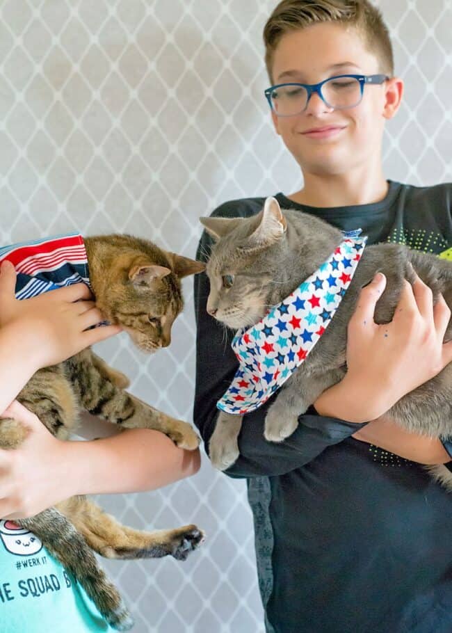 Sew Your Cat (or small dog) a Patriotic Cat-Kerchief for the 4th of ...