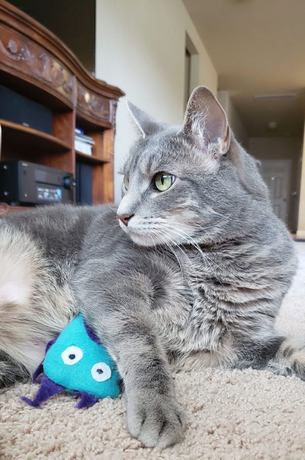 DIY Catnip Toy (with free printable pattern and video tutorial ...