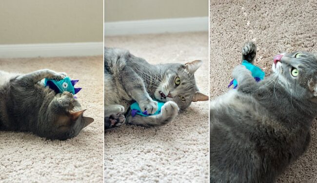DIY Catnip Toy (with free printable pattern and video tutorial ...