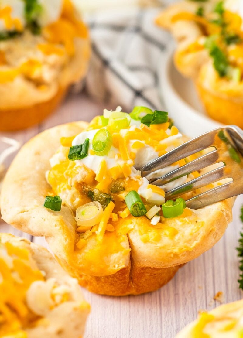 Easy Chicken Muffins - Scattered Thoughts of a Crafty Mom by Jamie Sanders