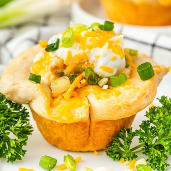Easy Chicken Muffins - Scattered Thoughts of a Crafty Mom by Jamie Sanders